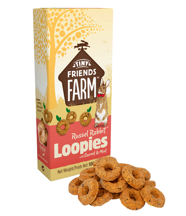 Russel Rabbit Loopies with Carrot and Mint – The Moon Bunny